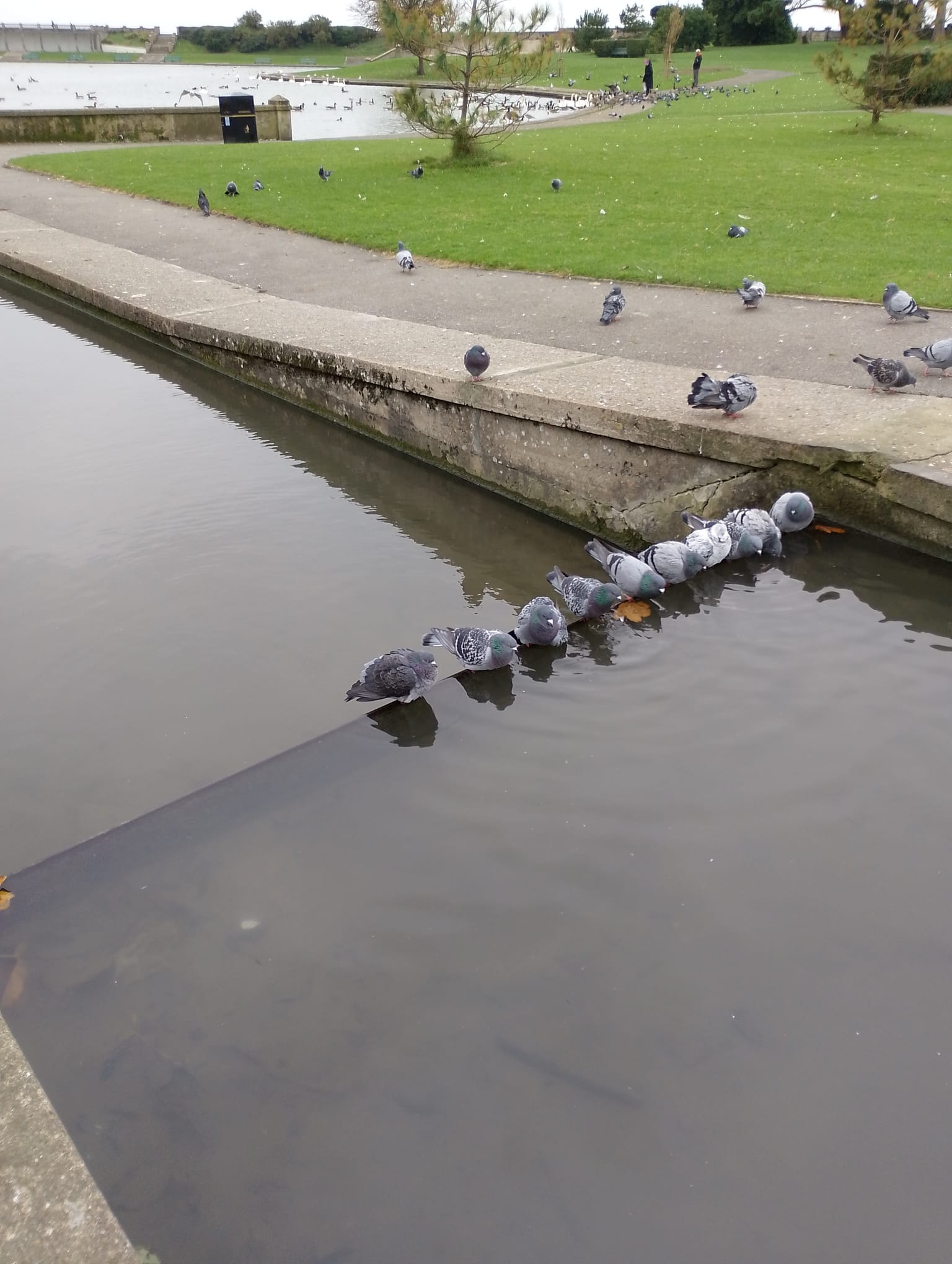 Cold Knap and Barry Island, 4 November