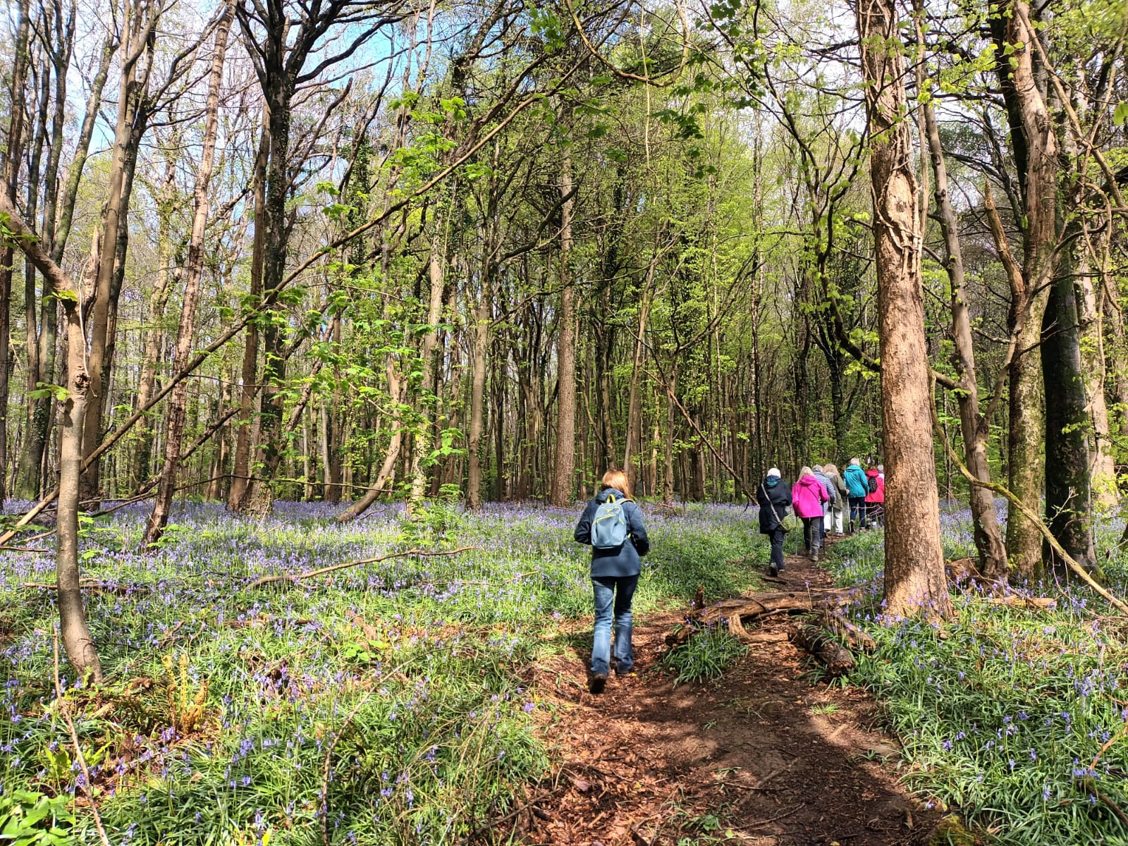 Trerhyngyll circular walk, 21 April